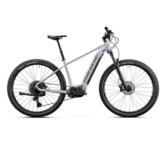 E-Bikes – Crown Cycles